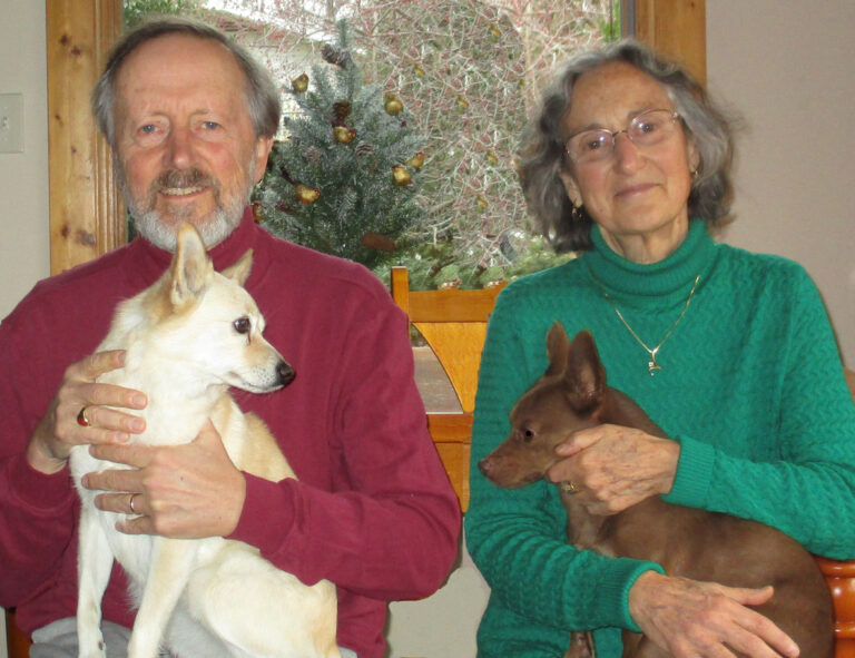 About Us - Buddha at the Gas Pump